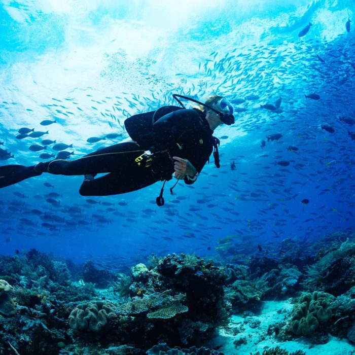 Book a PADI Diving Course | Stellar Diver | UK Diving Centre